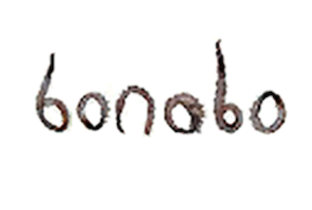 Bonobo, Tokyo · Upcoming Events & Tickets