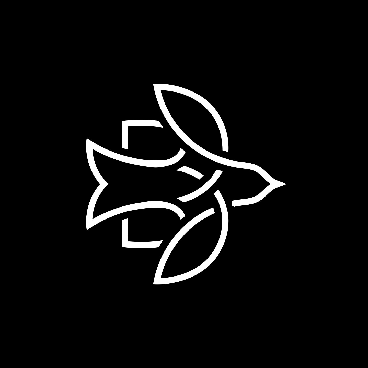 Bulbul Berlin · Upcoming Events & Tickets