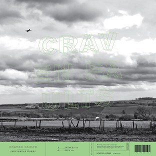 Craven Faults - Ings · Single Review RA