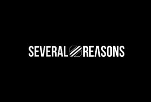 Several Reasons Recordings · Musiklabel RA