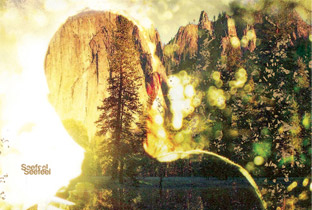 Seefeel return with eponymous album · News RA