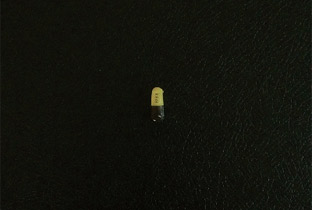 Prurient goes Through the Window · News RA