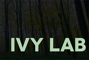 Sabre, Stray and Halogenix are Ivy Lab · News RA