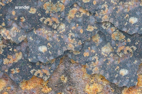 Arandel returns with Solarispellis · News RA