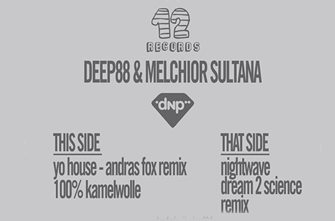 Dream 2 Science surfaces for remix on 12 Records · News RA