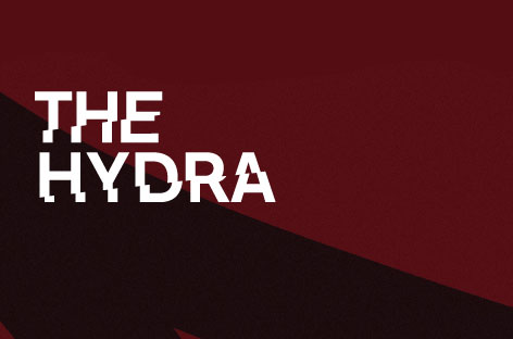 The Hydra outlines New Year's plans · News RA