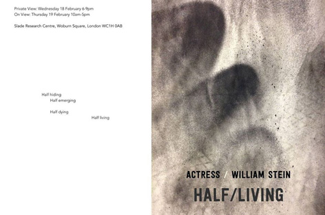 Actress and William Stein are Half/Living · News RA