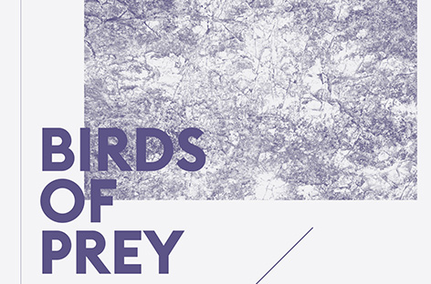 Kathexis reveals Birds Of Prey LP · News RA