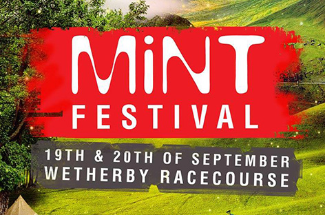 Mint Festival expands to two days for 2015 · News RA