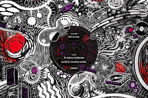 Barac announces new EP, Pata Din Mijlocul Naturii · News RA