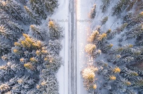 Bvdub reveals his 29th album, Heartless · News RA