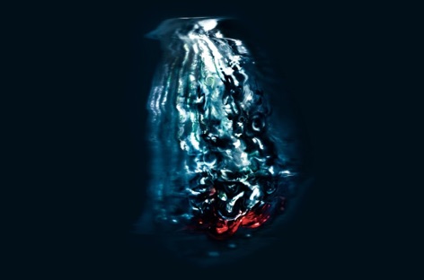 Fis collaborates with Māori artist Rob Thorne for new album, Clear ...