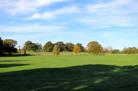 London's Eastern Electrics to host 2017 festival at Morden Park · News RA