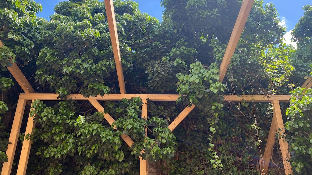 Berlin gets new open-air club, ÆDEN · News RA