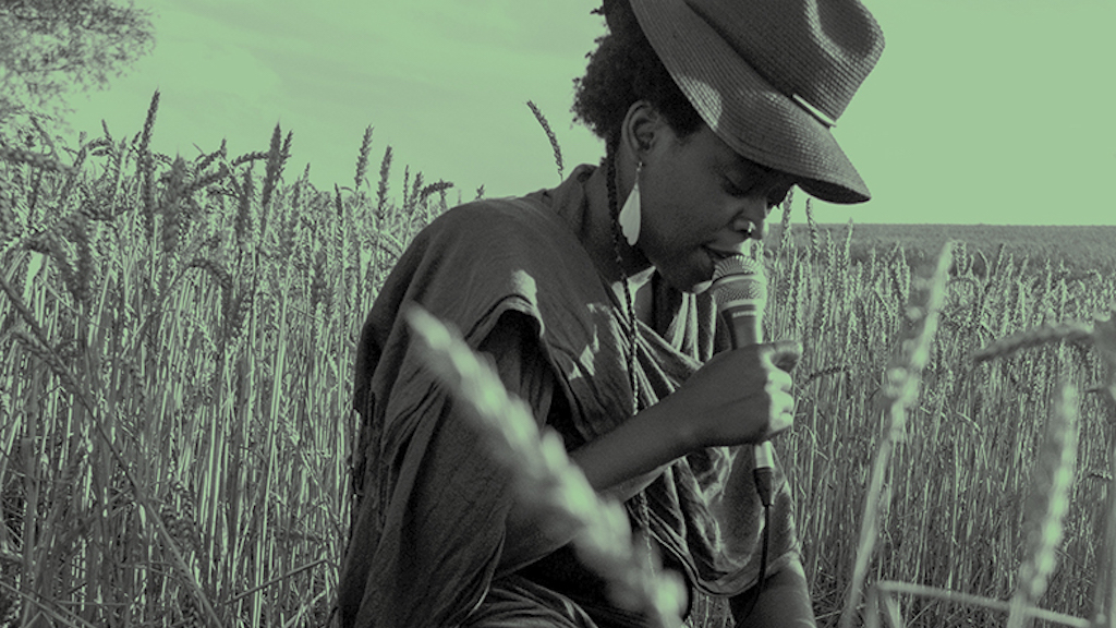 New book explores artist experiences in contemporary field recording ...