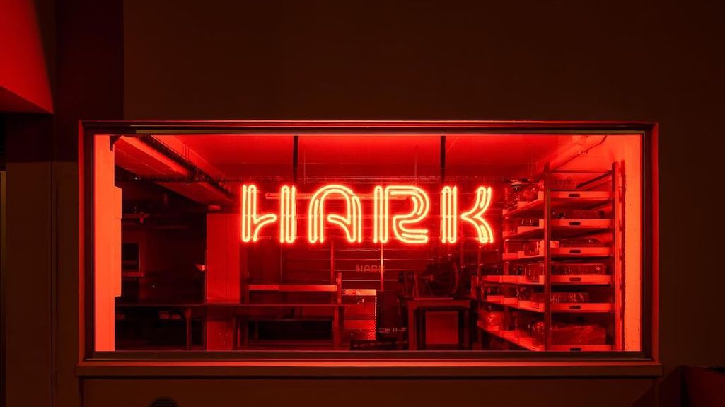 New record shop HARK opens in Paris · News RA