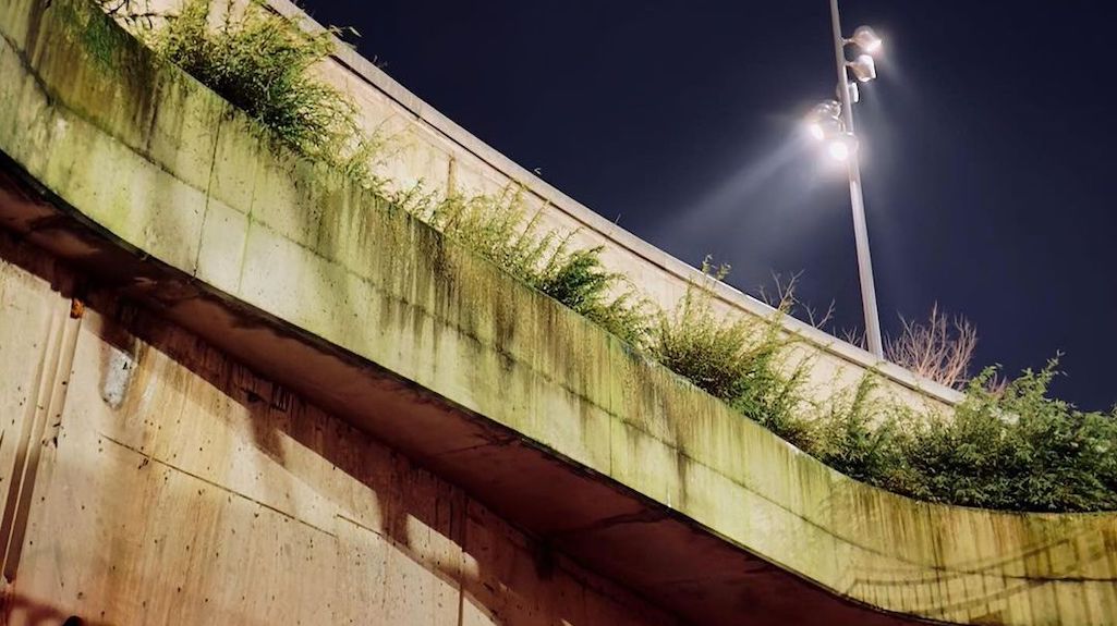 Wuppertal club Open Ground reveals first four residents · News RA