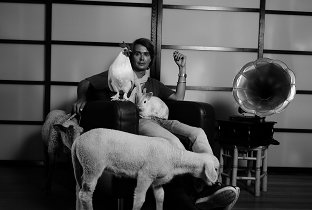 Alex Dee · Artist Profile