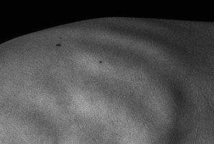 Aural Perception · Artist Profile