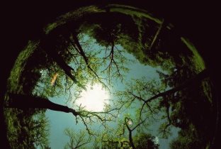 Boola · Artist Profile