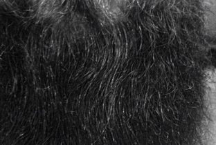 Chris Gebert · Artist Profile