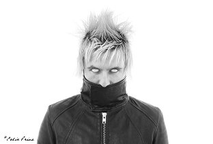 Darren Rice · Artist Profile