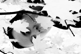 drS (2) · Artist Profile