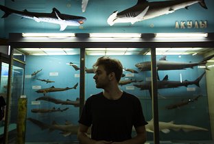 Fanick · Artist Profile