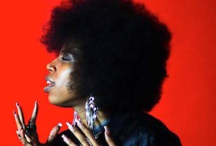 Georgia Anne Muldrow · Artist Profile