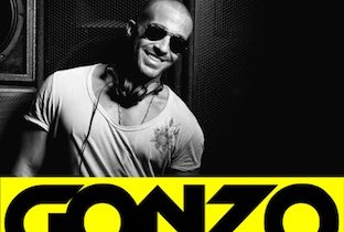 Gonzo · Artist Profile