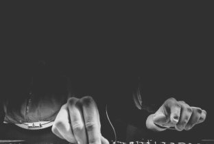 linser · Artist Profile