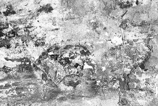 MRCL · Tour Dates & Tickets