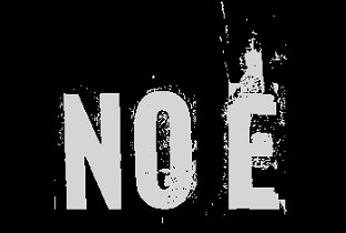 Noé · Artist Profile