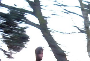 Scrase · Artist Profile