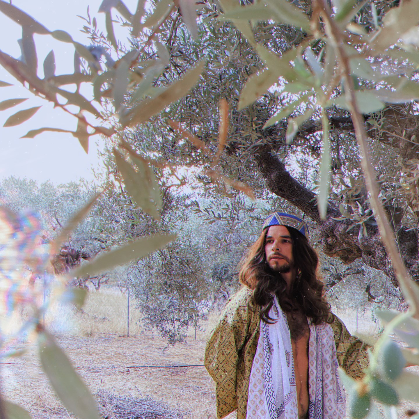 Alexanderos · Artist Profile