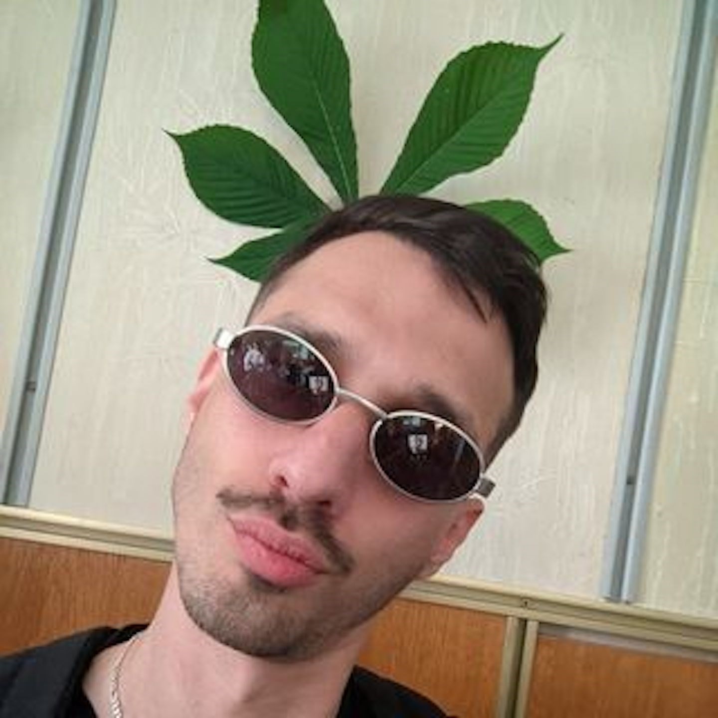 Alex P (UA) · Artist Profile