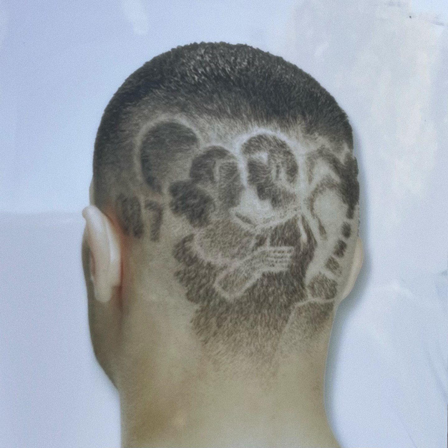 Alys · Artist Profile