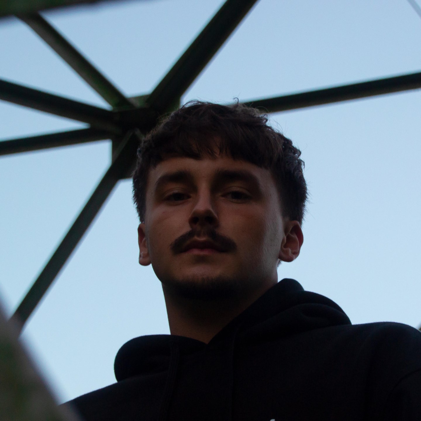 AMER · Artist Profile