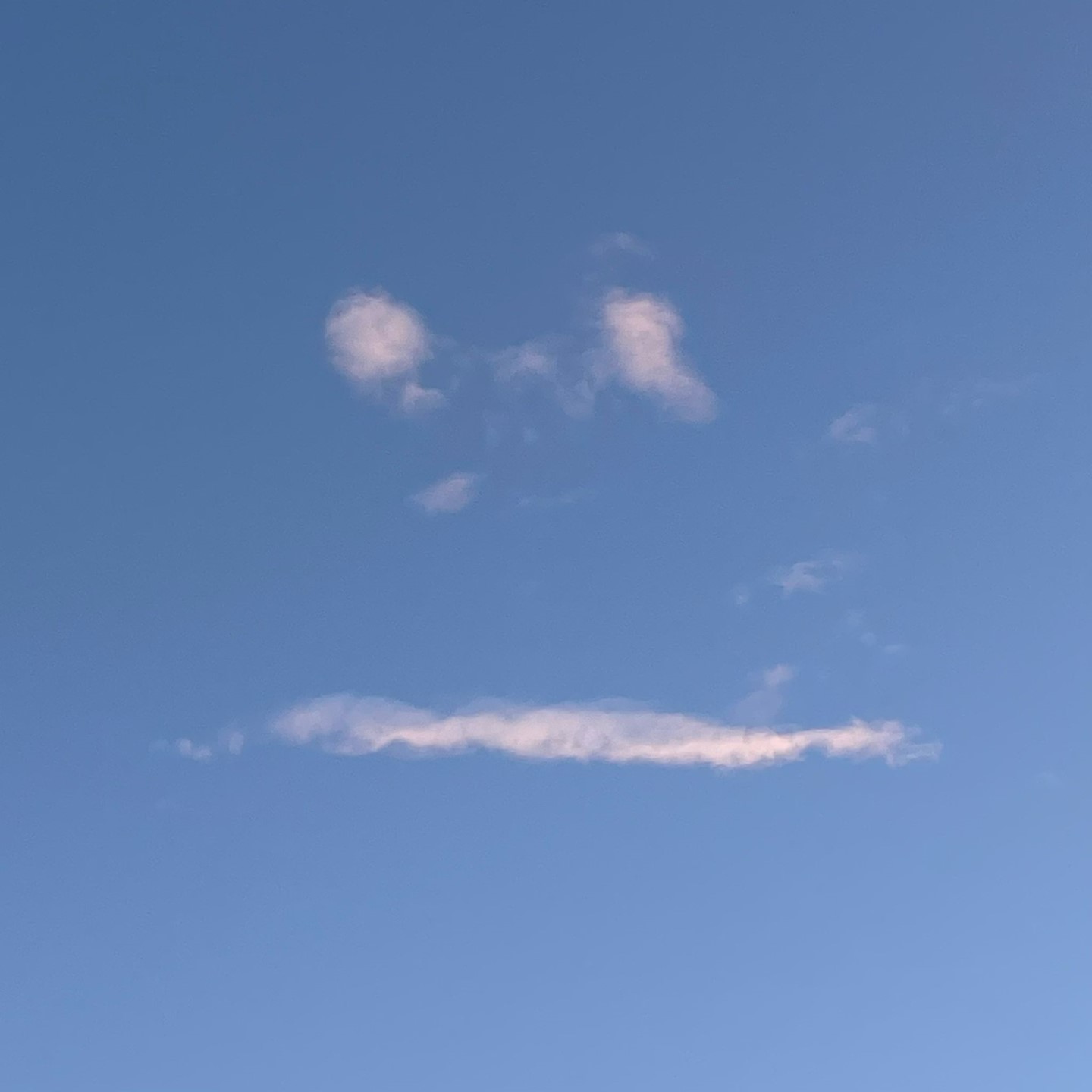 amïro · Artist Profile