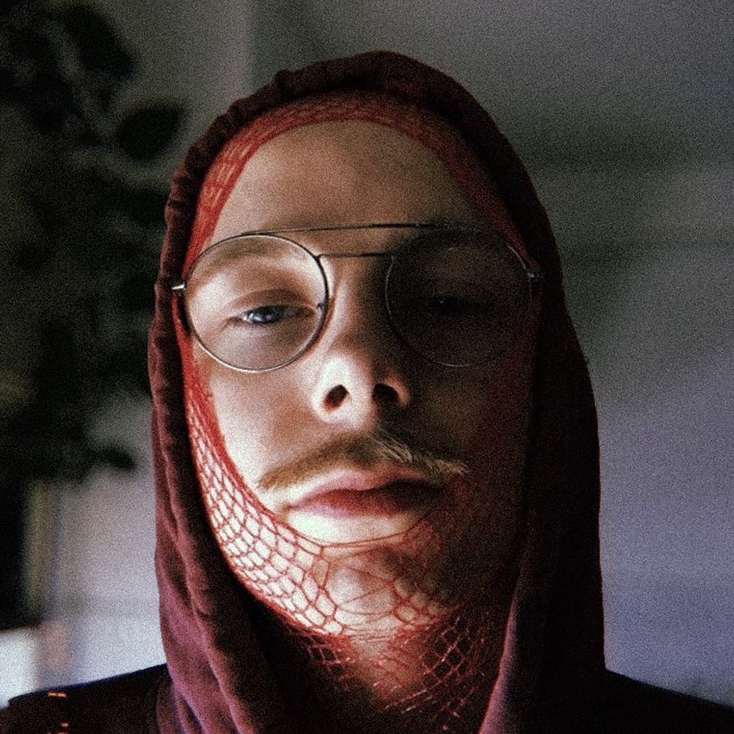 Amoll · Artist Profile