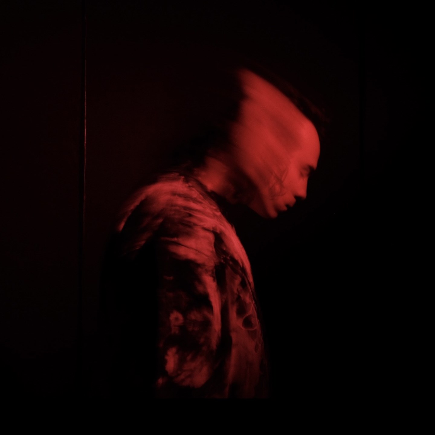 amora · Artist Profile