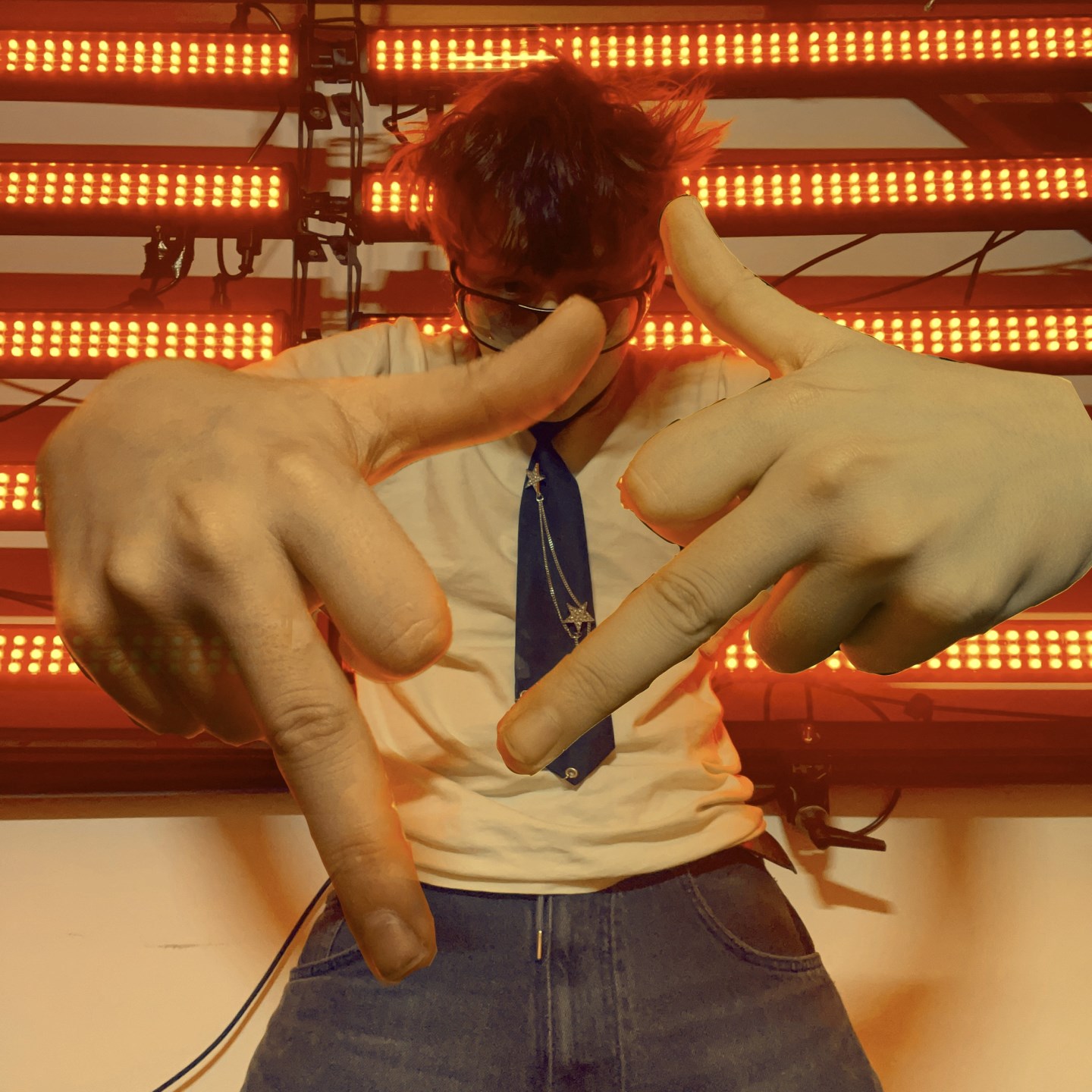 ANATOL (2) · Artist Profile