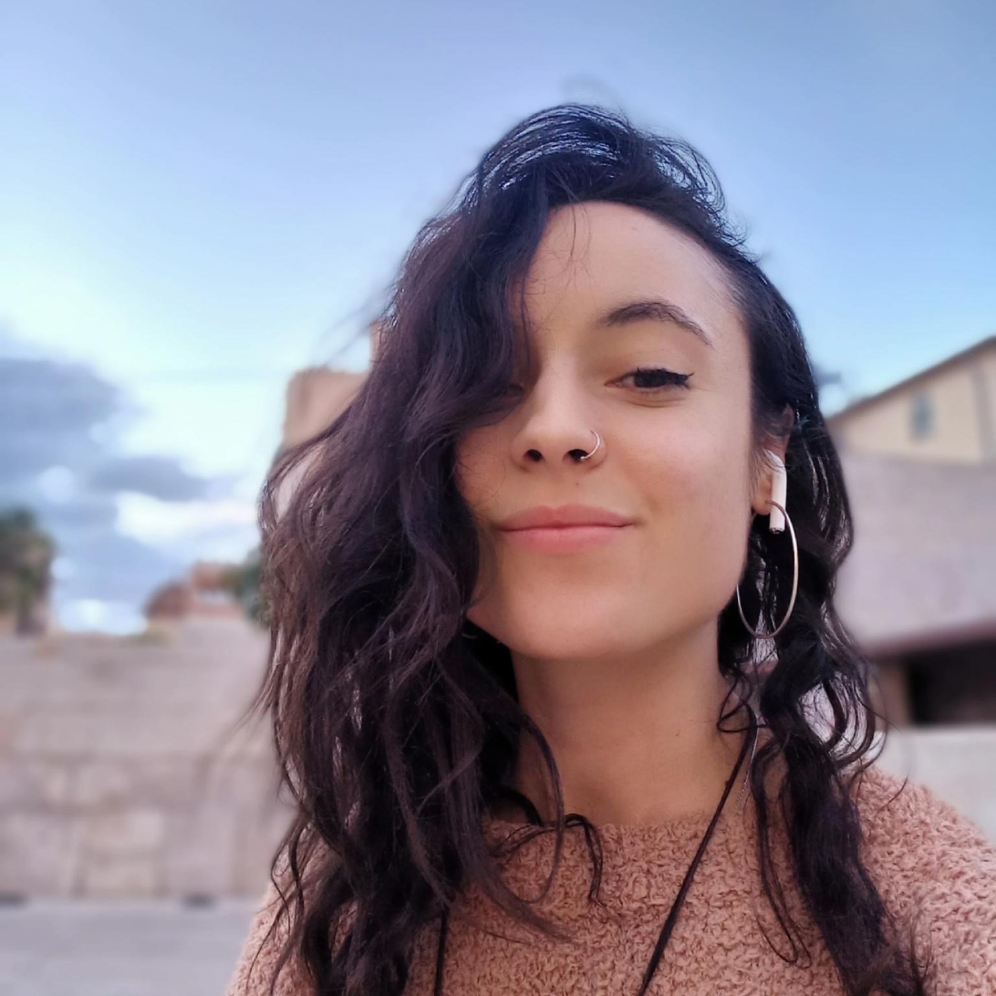 anna andersrum · Artist Profile