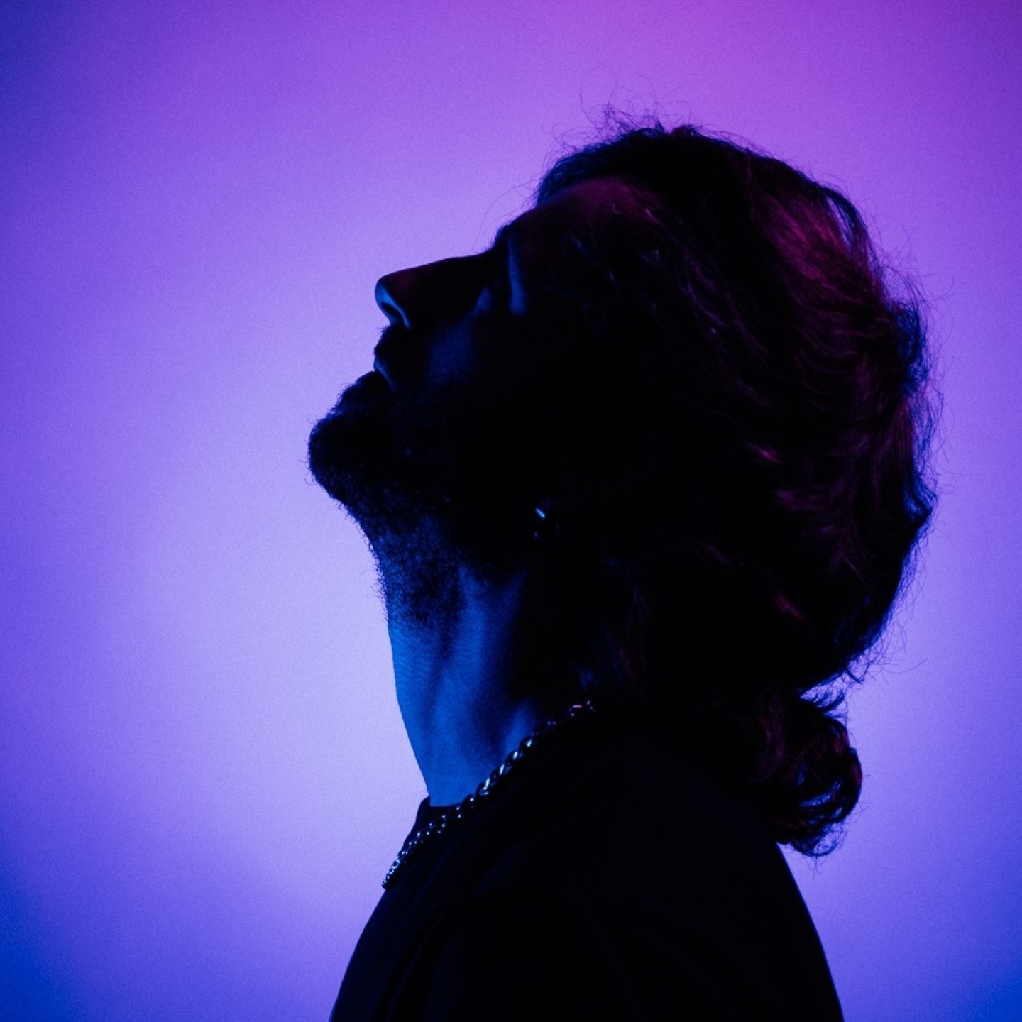 Anselmus · Artist Profile