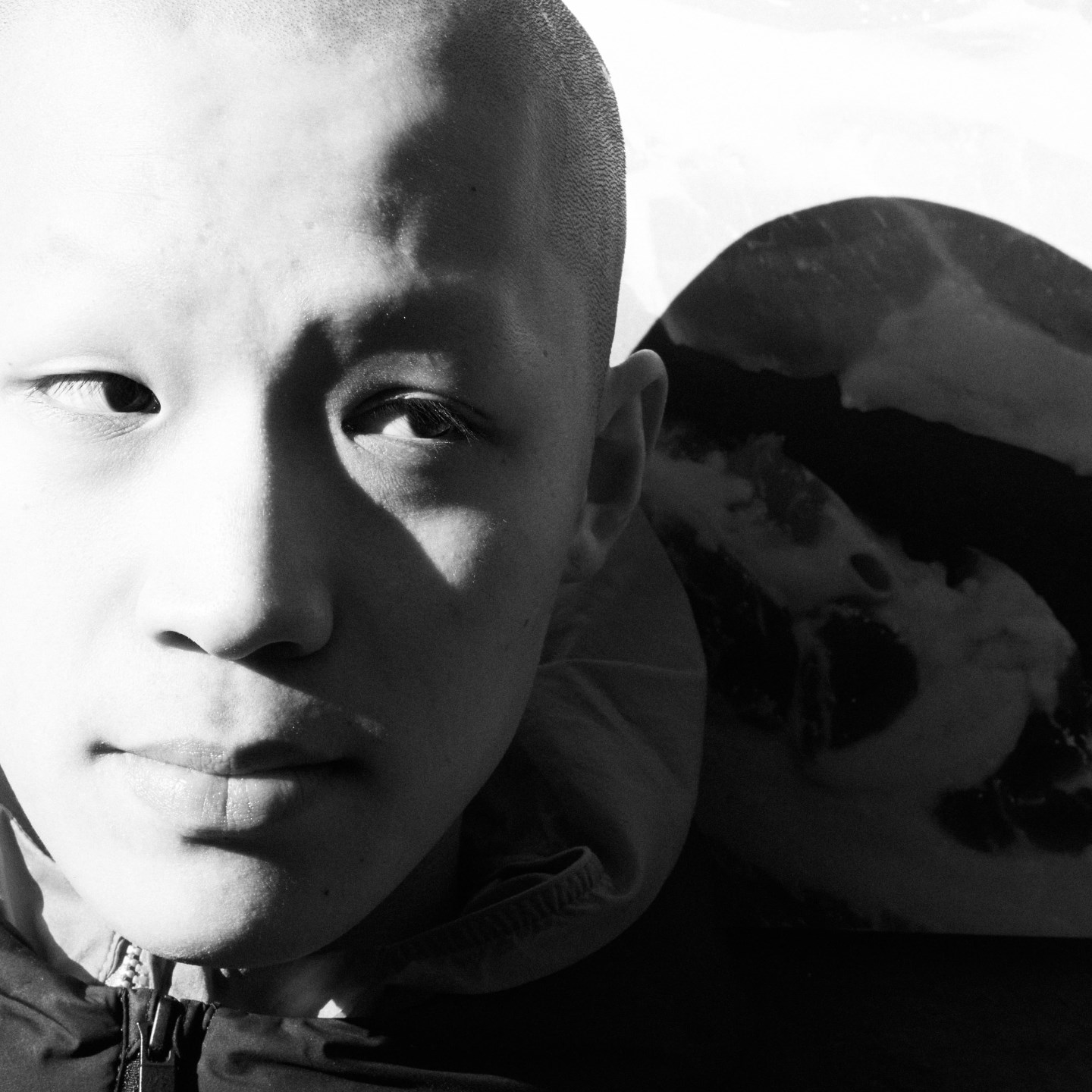 ANSOL · Artist Profile