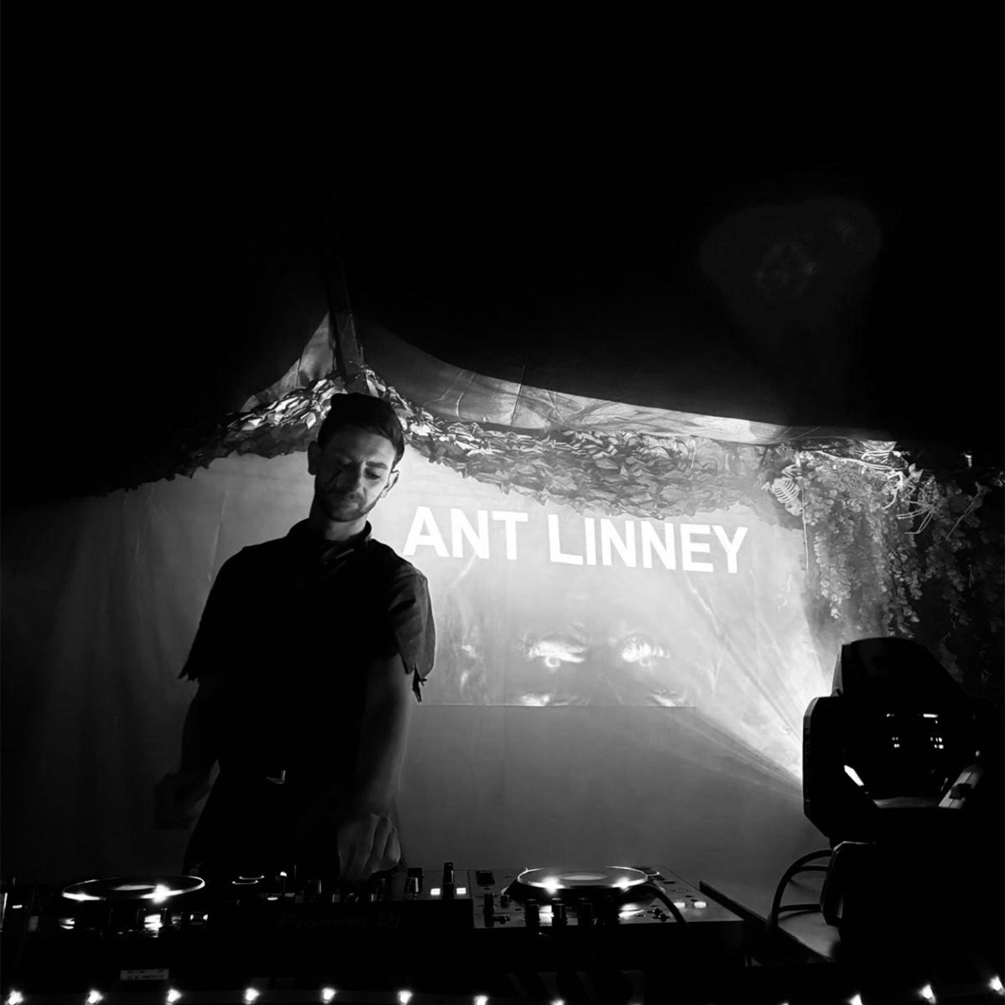 Ant Linney · Artist Profile