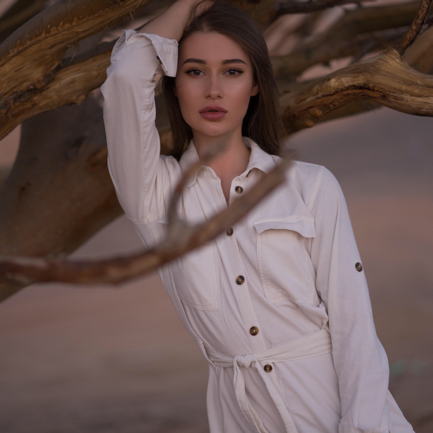 Aomi Artist Profile