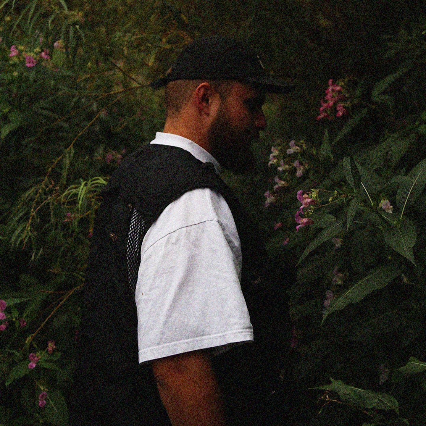 Arkane · Artist Profile