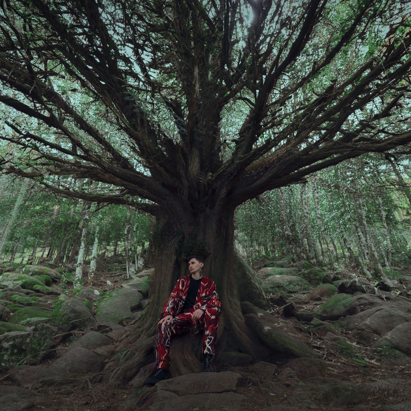 Asora · Artist Profile