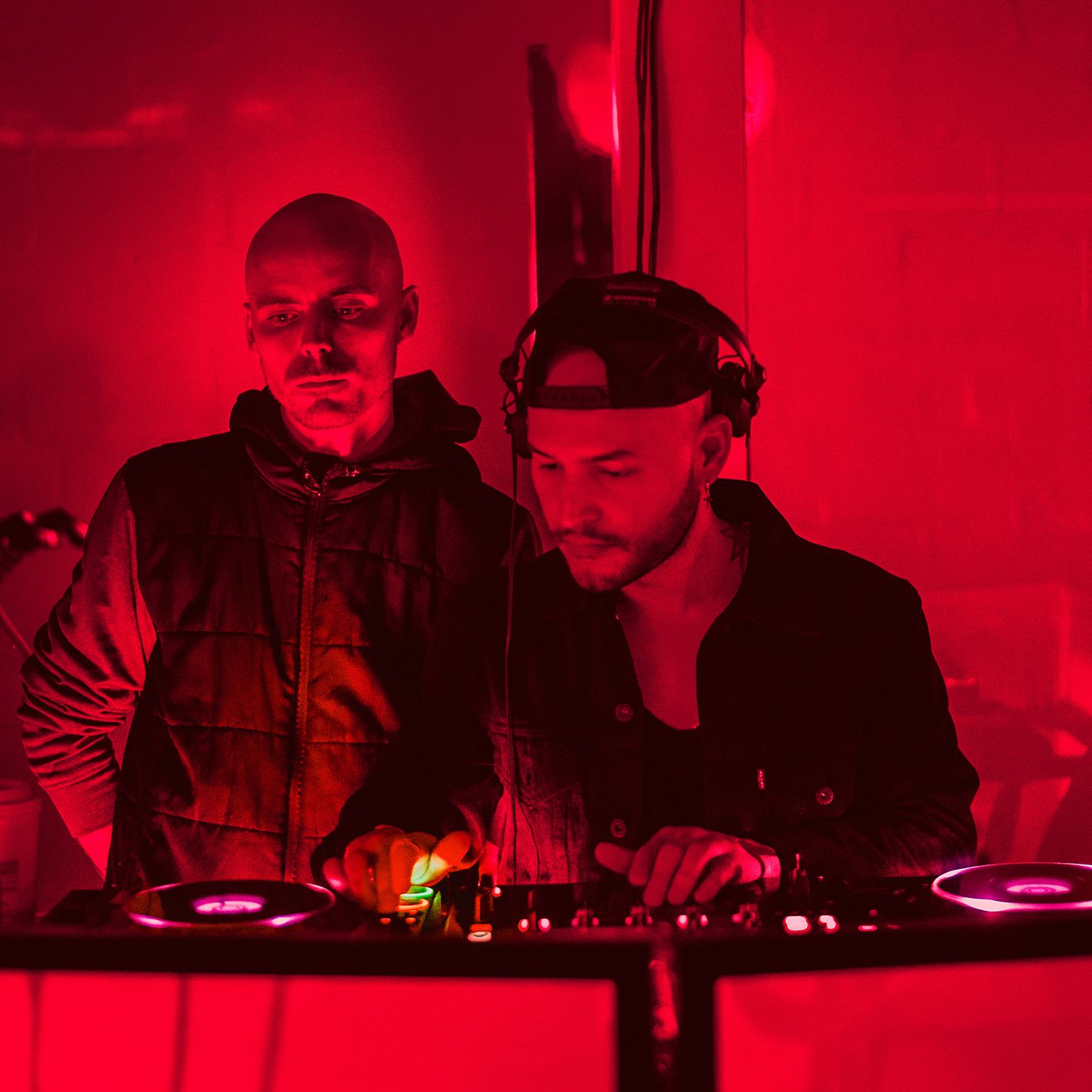 Audio Rover · Profilo Artista